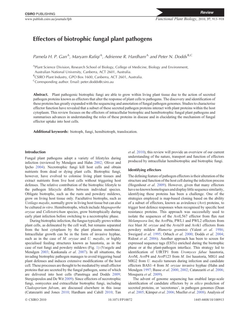 Effectors of biotrophic fungal plant pathogens | PDF | Secretion | Fungus
