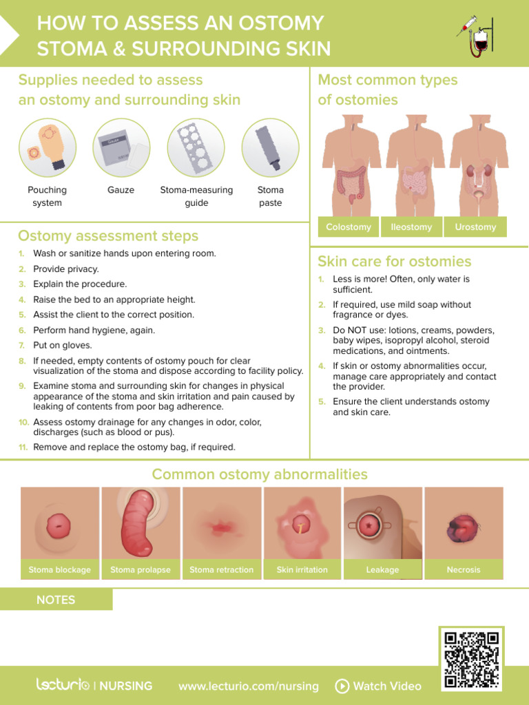 Nursing CS How To Assess A Ostomy Stoma Surrounding Skin 02 | PDF | Clinical Medicine | Medical ...