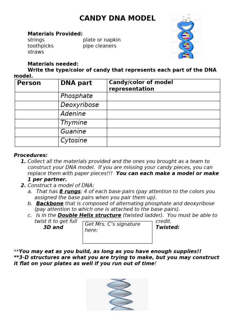 Build a Candy DNA Model Guide | PDF