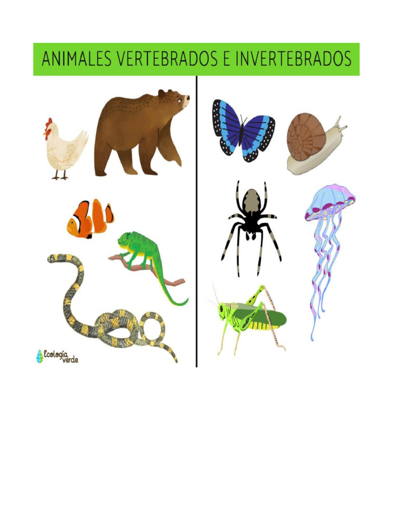 Animales Vertebrados e Invertebrados | PDF