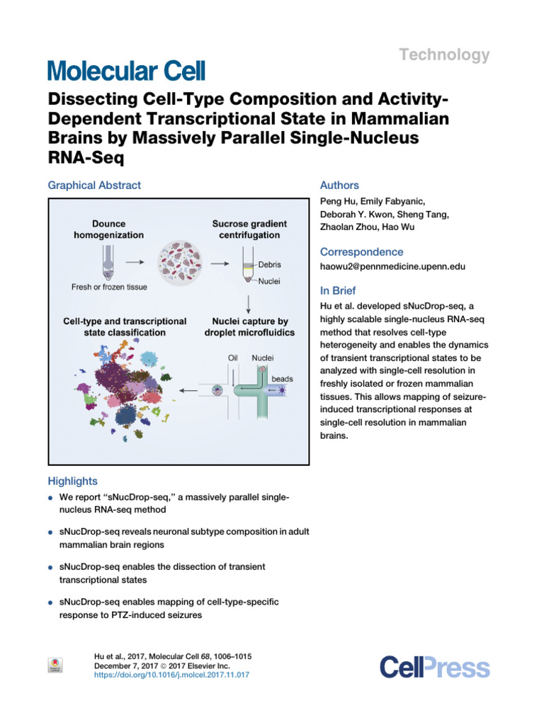 1 s2.0 S1097276517308766 Main - Cortical - Neurones | PDF | Cerebral ...