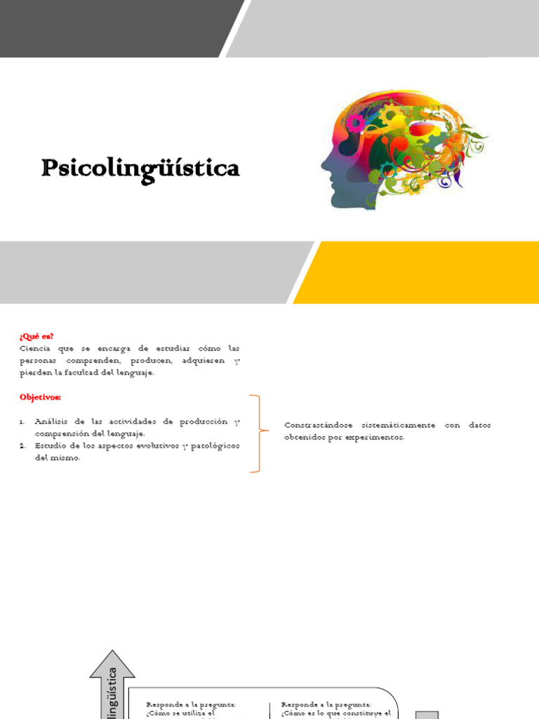Presentación 2-Psico Ling | PDF
