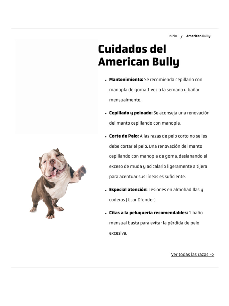 Cuidados Esenciales para American Bully | PDF | Champú | Perros