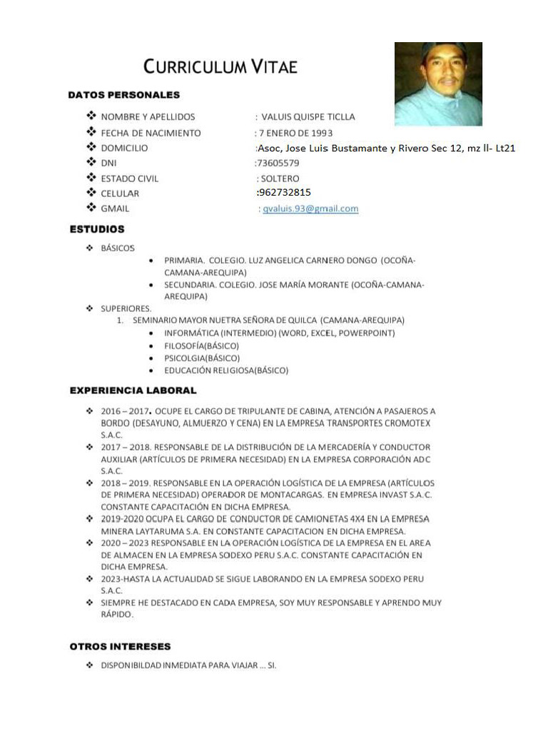 Curriculumvitae Valuisquispeticllai | PDF
