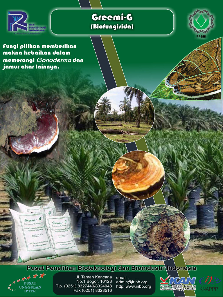 Brosur Greemi G New | PDF