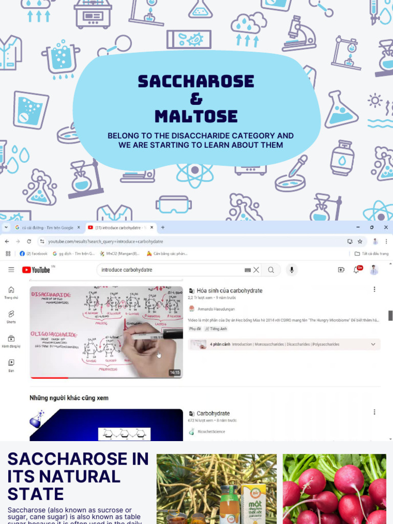 Saccharose & Maltose | PDF