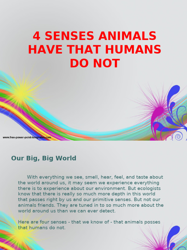 Senses of Animals | PDF