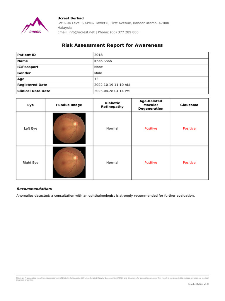 Fundus Examination Risk Report | PDF | Human Diseases And Disorders ...