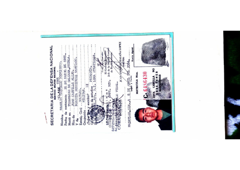 PDFReader 20250602 1458 | PDF