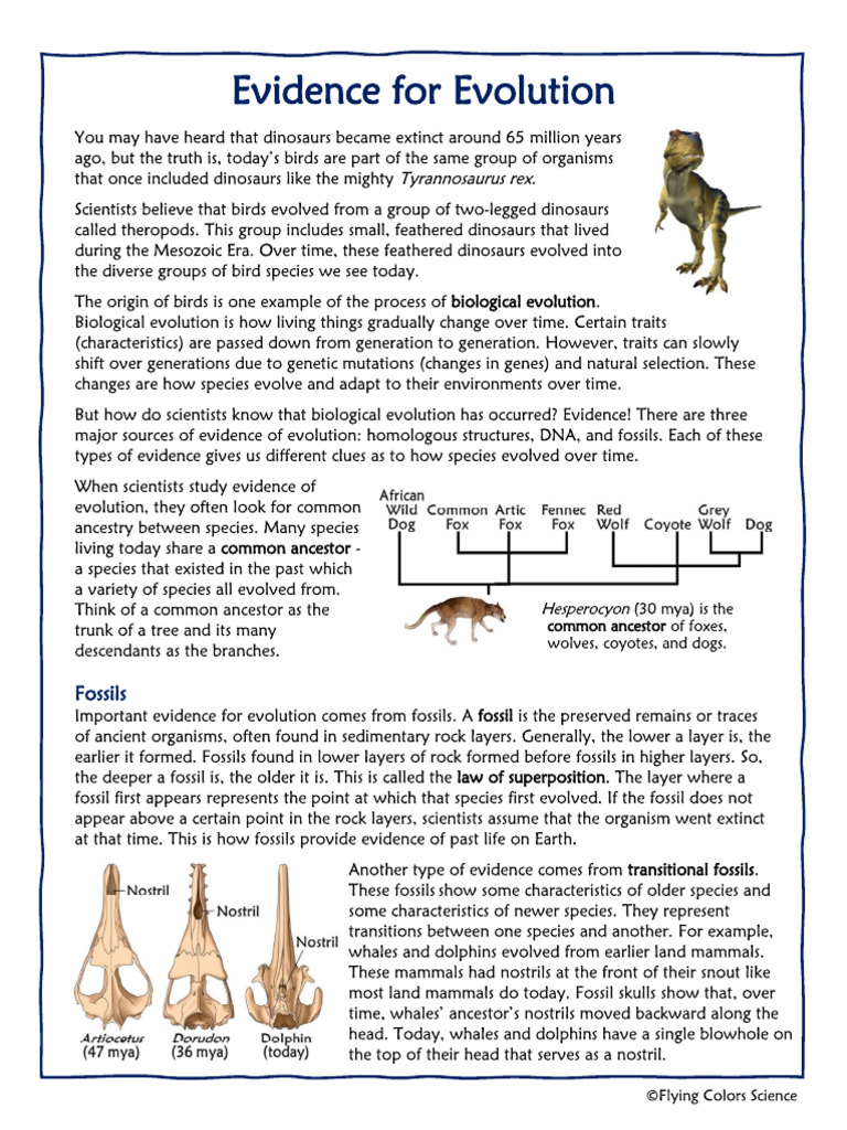 Evidence of Evolution Reading | PDF