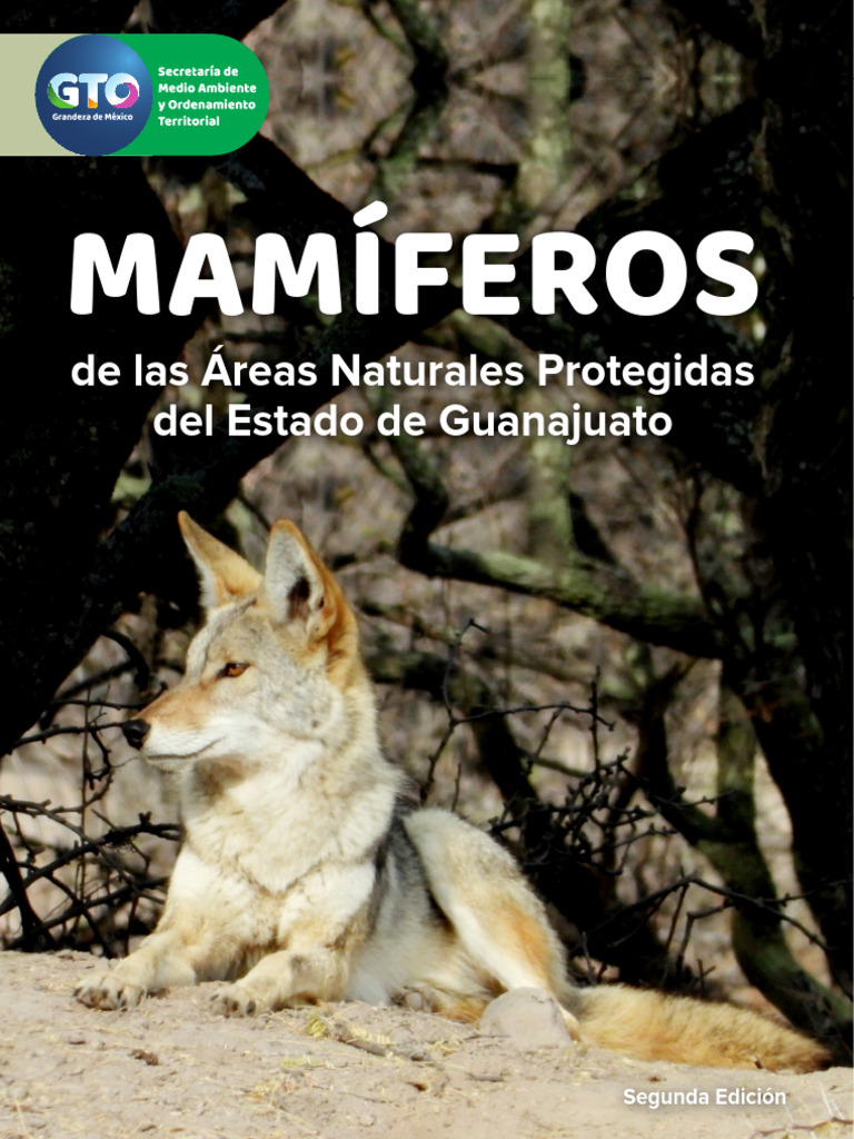 Libro de Mamiferos | PDF | Mamíferos | Los bosques
