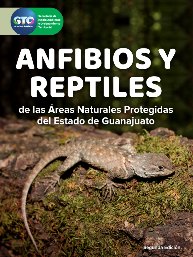 Libro de Anfibios y Reptiles | PDF | Anfibio | Reptil