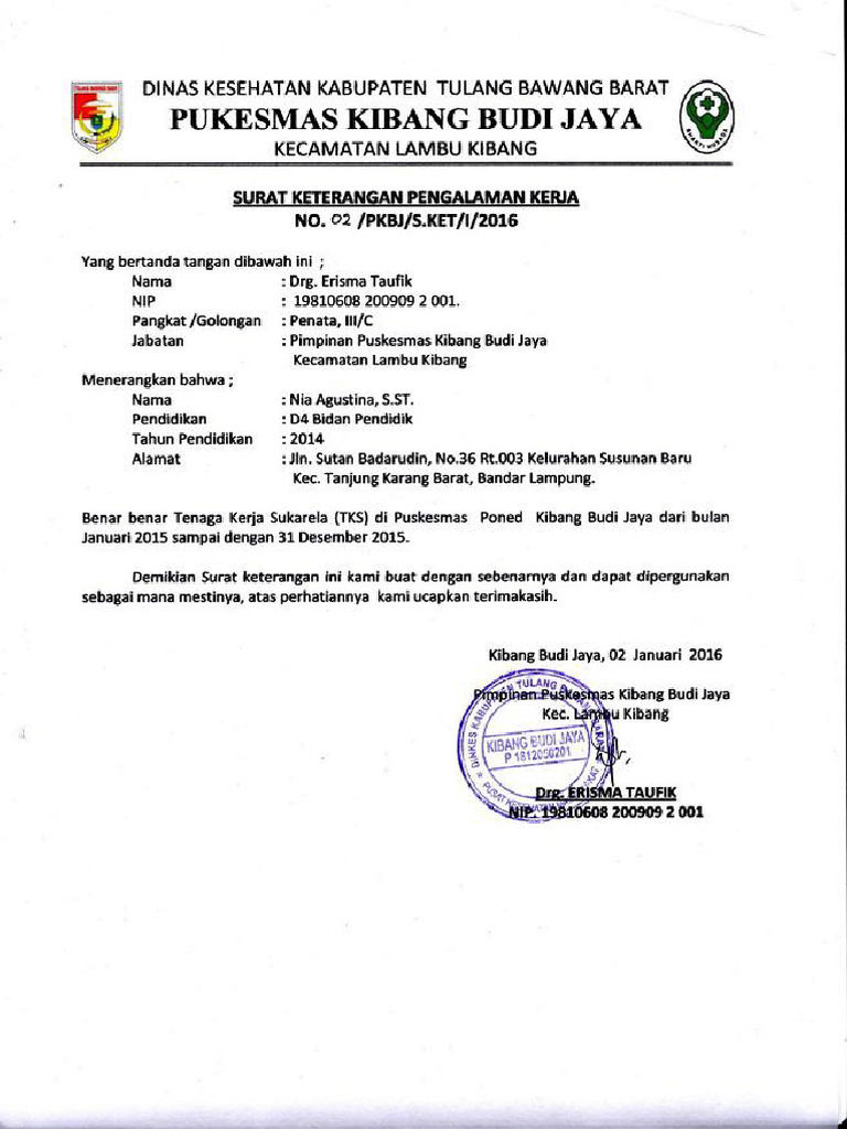Pengalaman Kerja | PDF