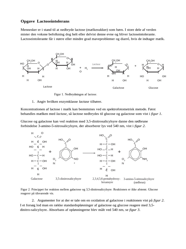 Opgave Lactoseintolerans | PDF