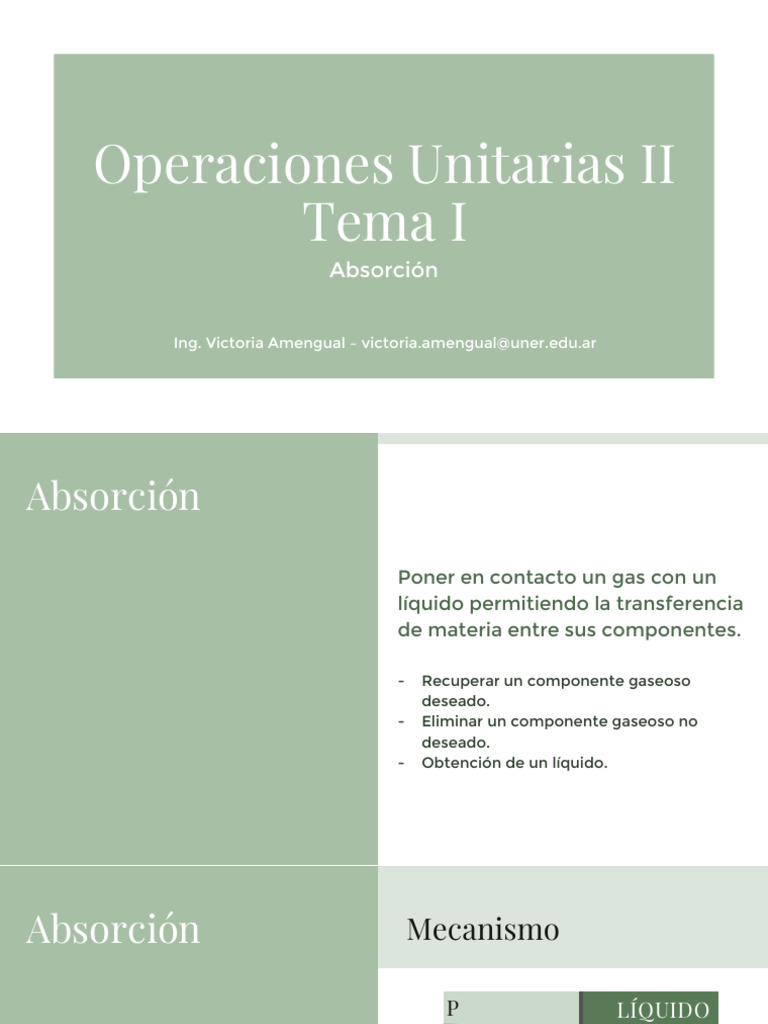 Procesos de Absorción en Ingeniería | PDF | Absorción (Química) | Líquidos