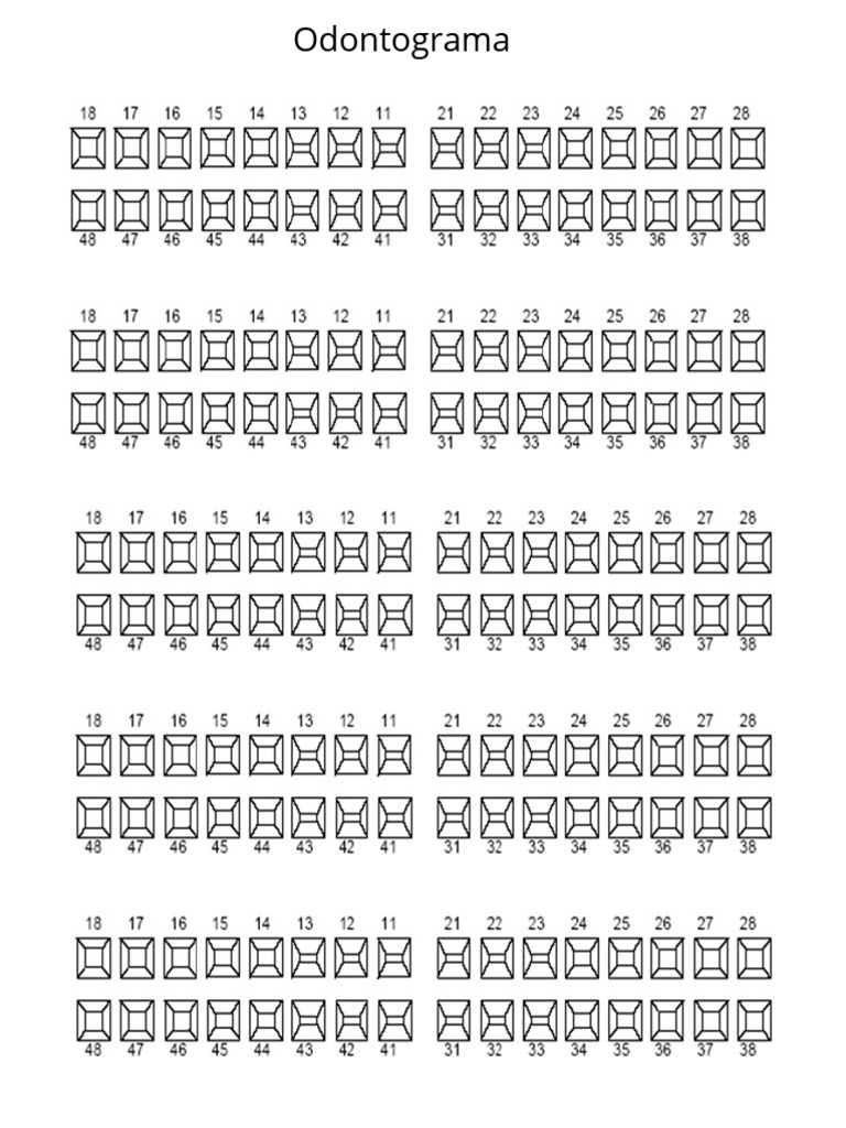 Odontograma | PDF