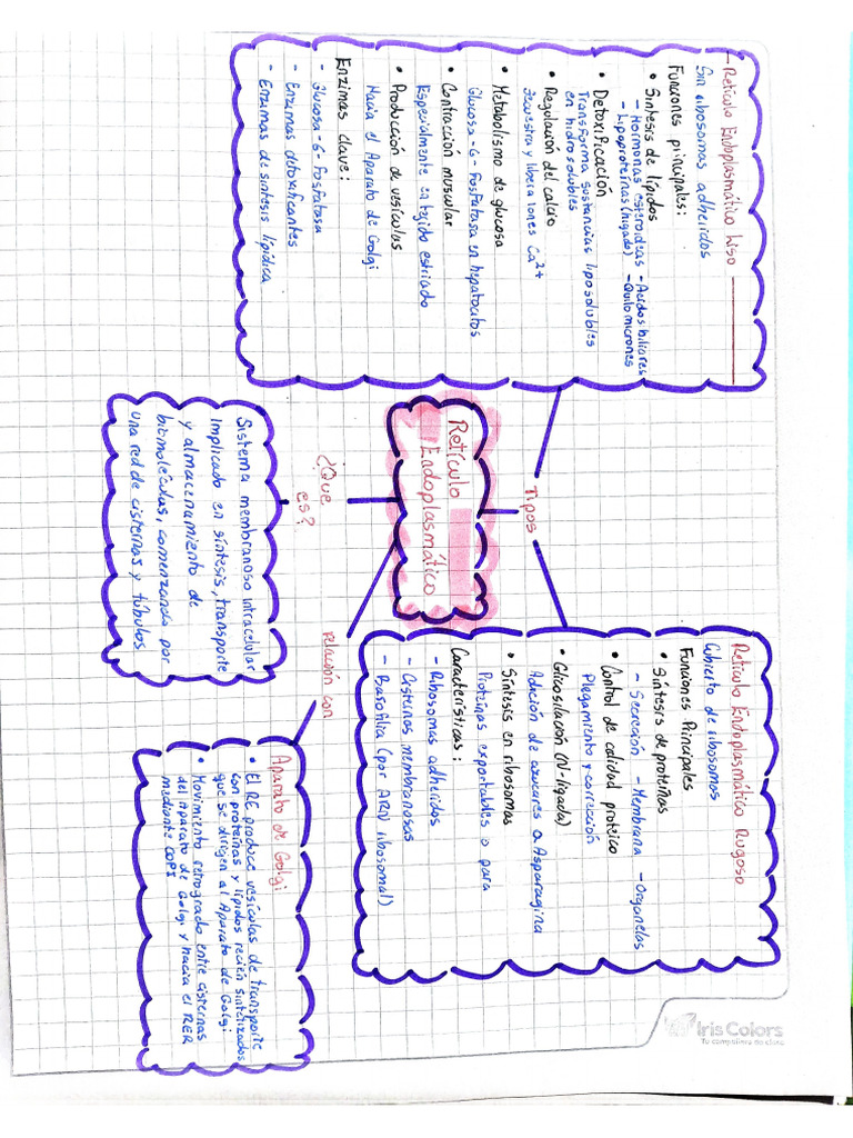 Tarea N°8 (Fergie Nicole Inche Olivares) | PDF