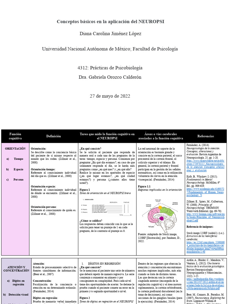 Evaluación de la Función Cognitiva en NEUROPSI | PDF | Memoria | Atención