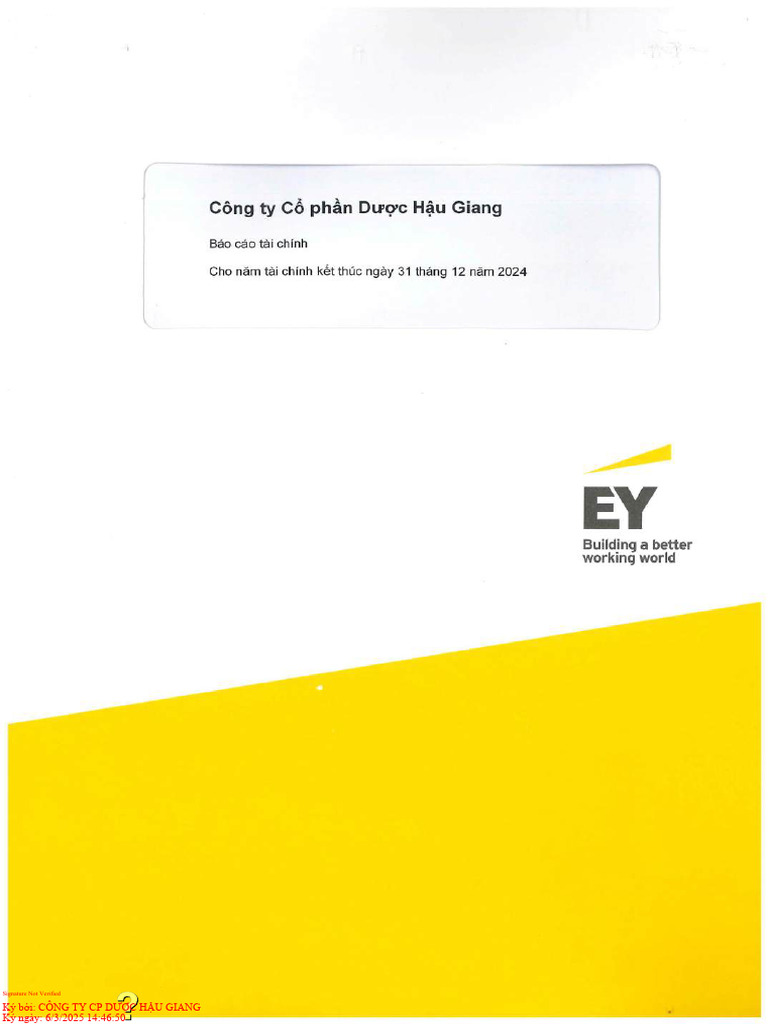 DHG Baocaotaichinh 2024 Kiemtoan 14032025155733 | PDF