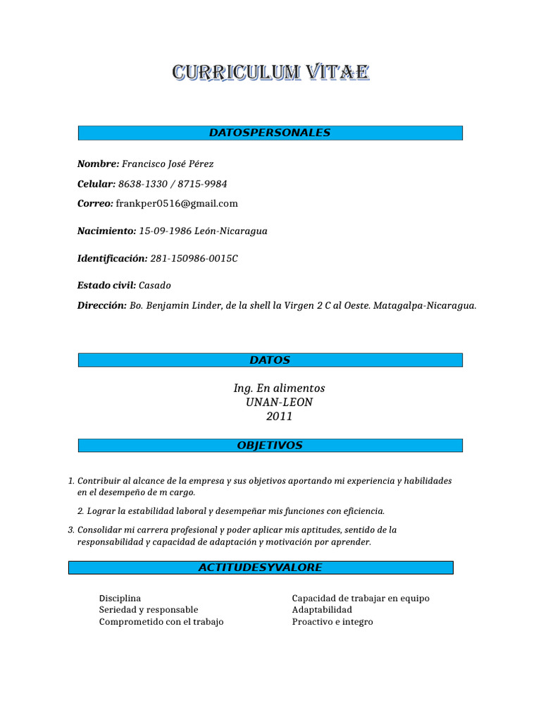 CV Frank Perez | PDF | Producción y fabricación