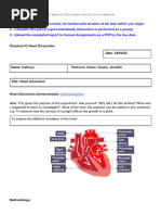 Sheep Heart Dissection Lab Guide | PDF