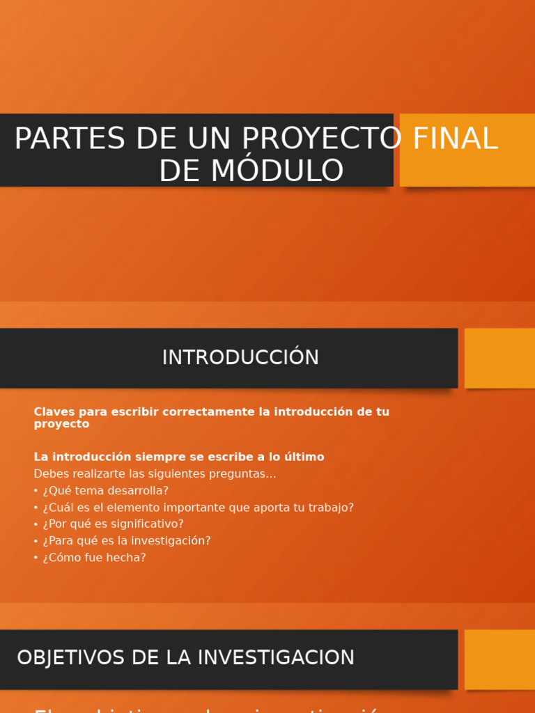 Partes de Un Proyecto Final de Módulo | PDF
