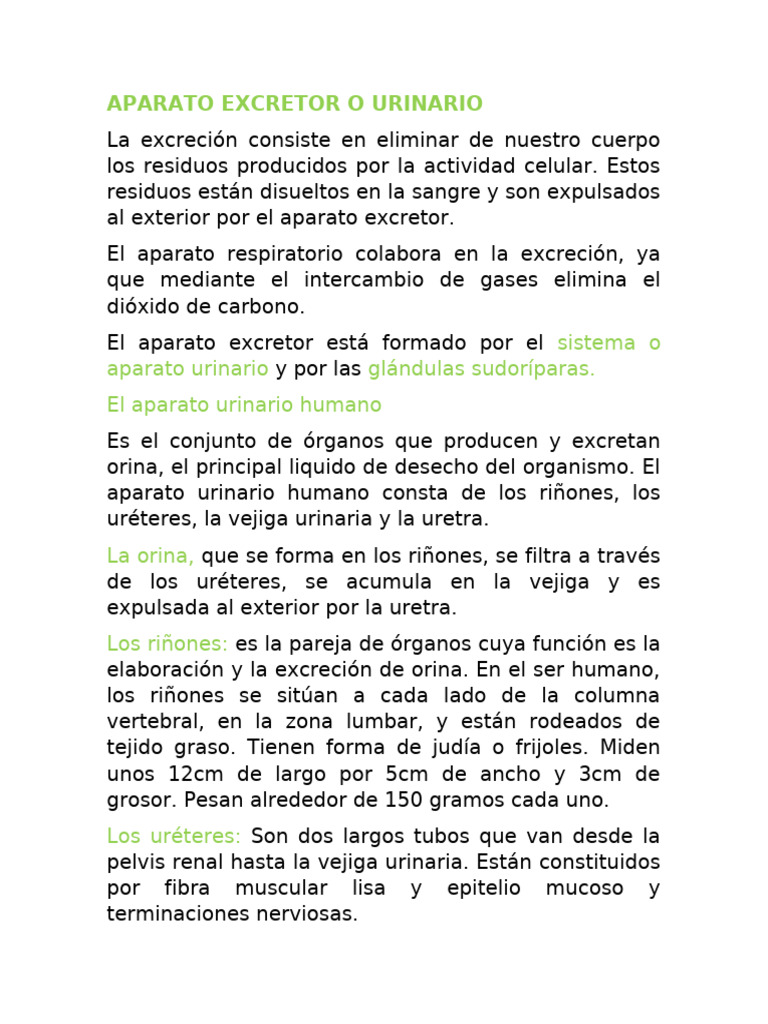 APARATO EXCRETOR O URINARIO Biologia General Autoguardado) | PDF | Sistema urinario | Sangre