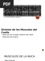 Músculos de La Nuca | PDF | Sistema musculoesquelético | Anatomía humana