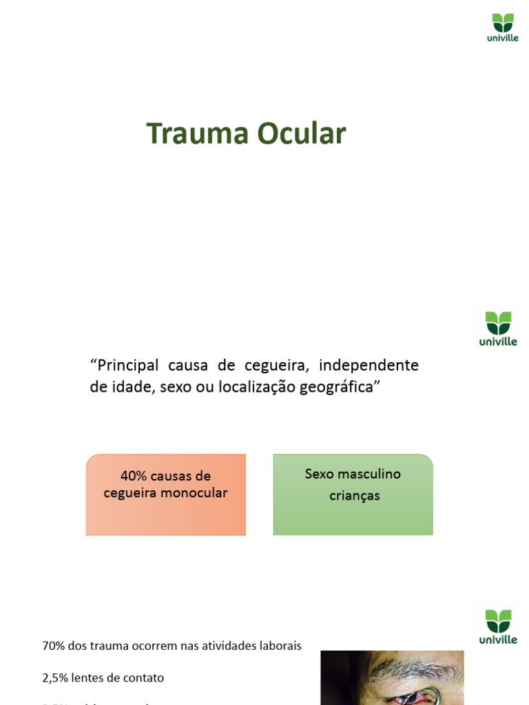 Trauma Ocular CC II | PDF | Queimadura | Visão
