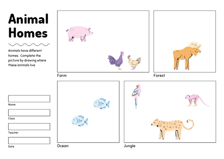 Animal Homes: Farm Forest | PDF