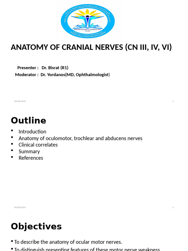 Anatomy and Clinical Insights of Cranial Nerves | PDF | Brainstem ...
