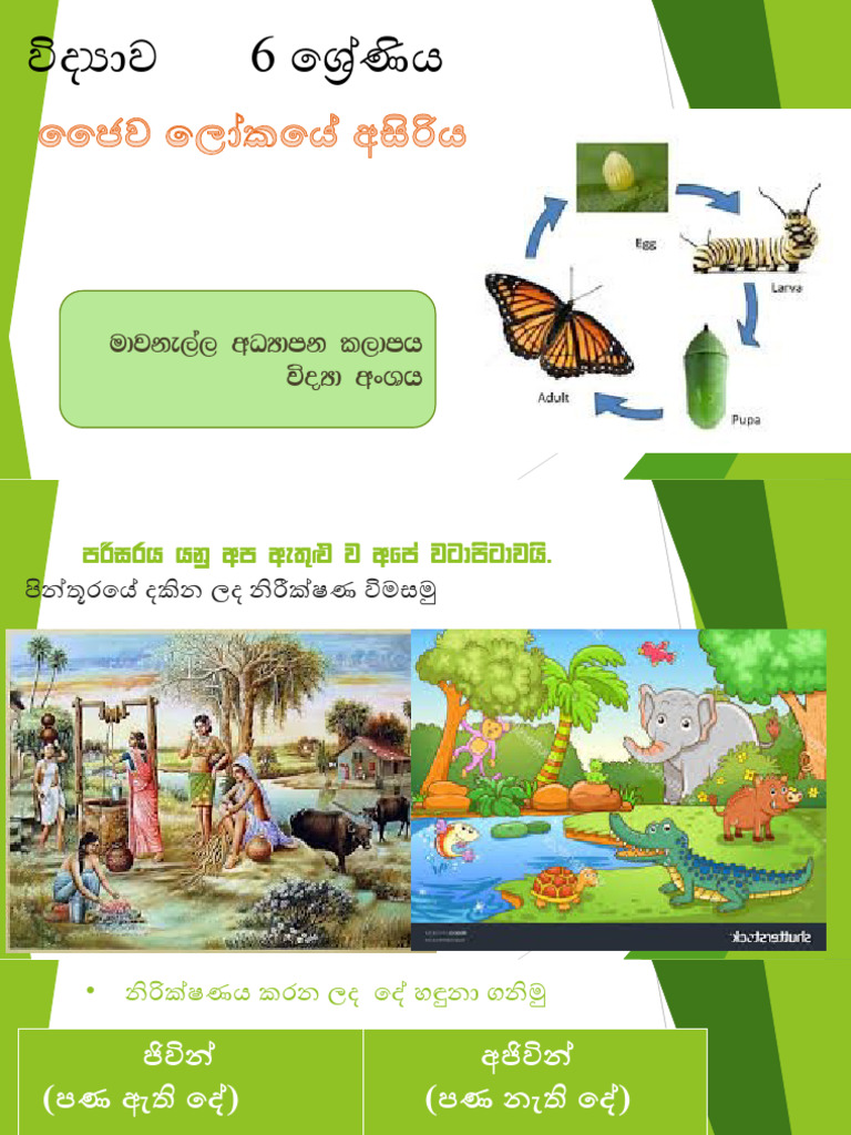 Grade 6 1. Jaiwa Lokaye Asiriya | PDF