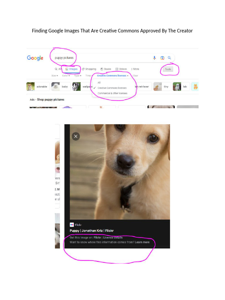 Lesson 8 Finding Google Images That Are Creative Commons | PDF