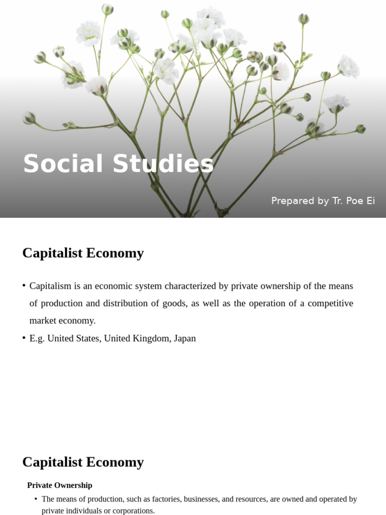 Capitalist, Socialist, Communist and Mixed | PDF | Capitalism | Socialism