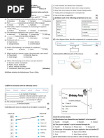 Theory Practice Paper Grade 10 | PDF | Laptop | Computer Hardware