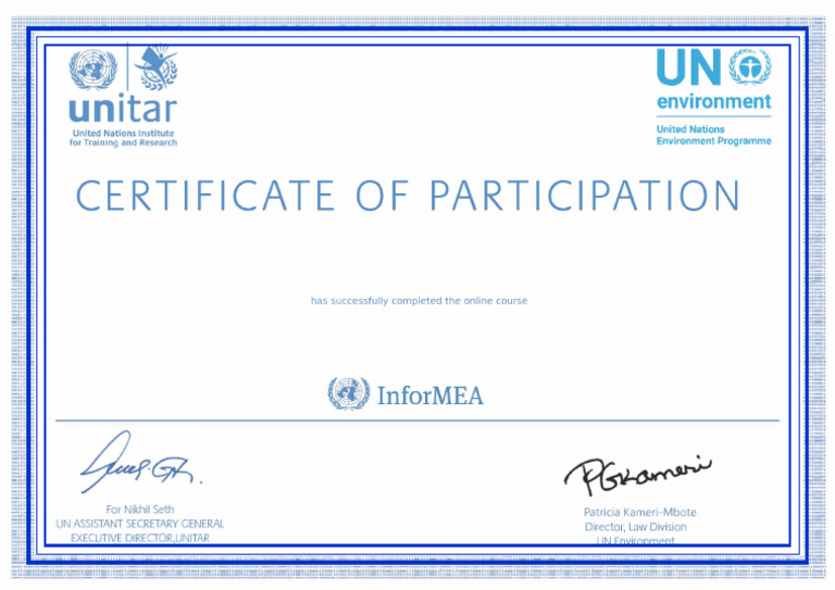 IHR Certificate | PDF