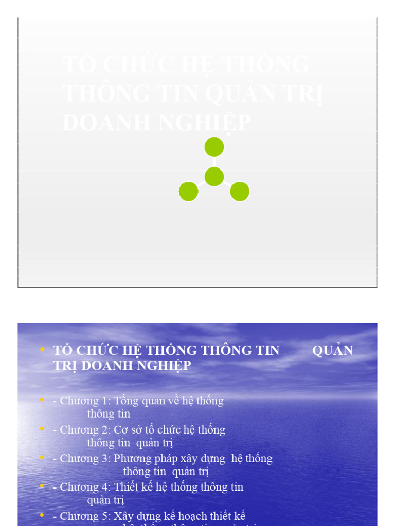 To Chuc He Thong Thong Tin Quan Tri DN | PDF