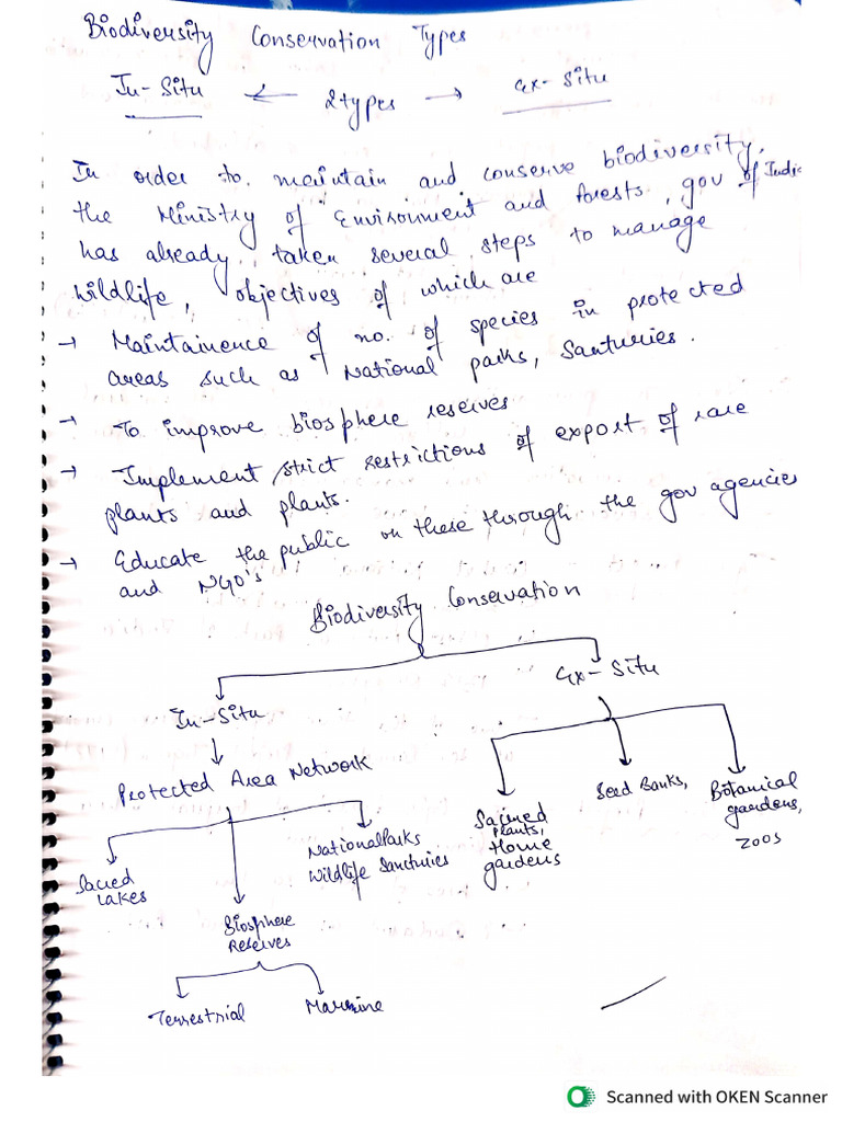 In-Situ & Ex-Situ | PDF
