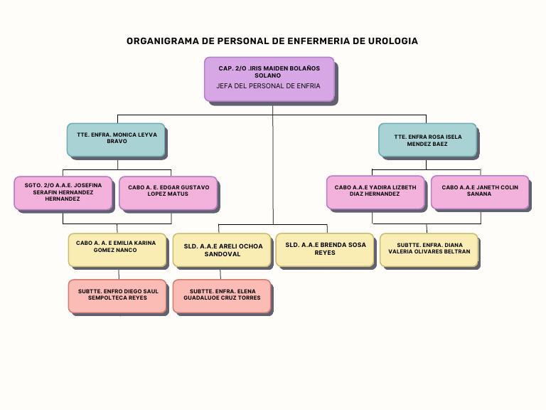 Pink Colorful Modern Organizational Chart Graph | PDF