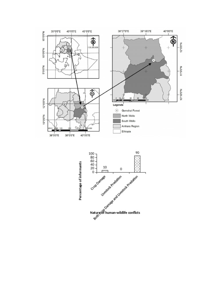 Figure and Image Template-OTH | PDF