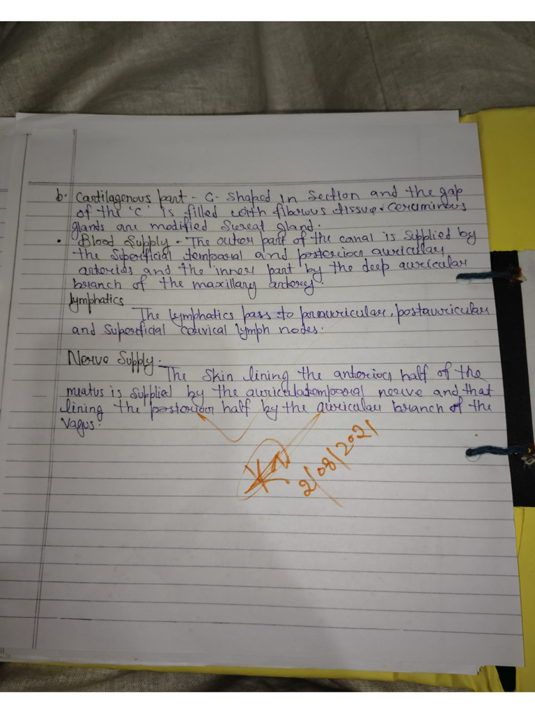 Anatomy Prac File Sen | PDF