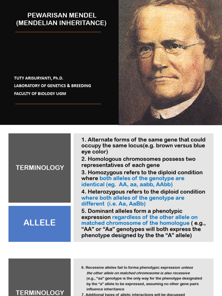 Mendelian Inheritance | PDF | Dominance (Genetics) | Allele