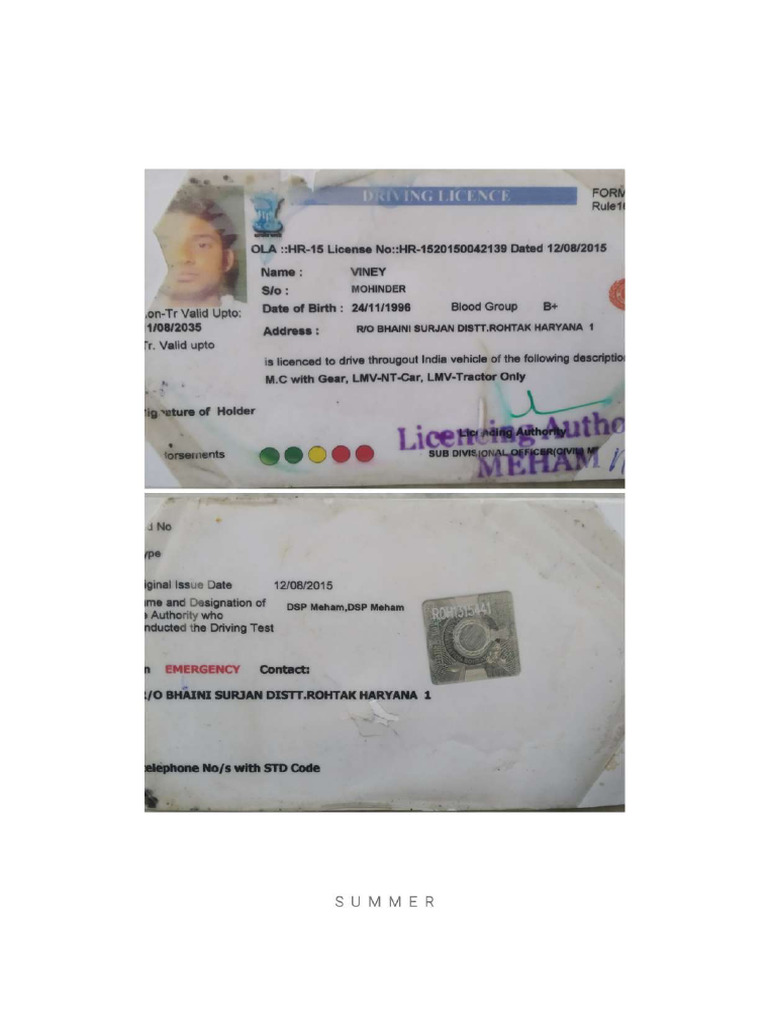 Driving Licence | PDF