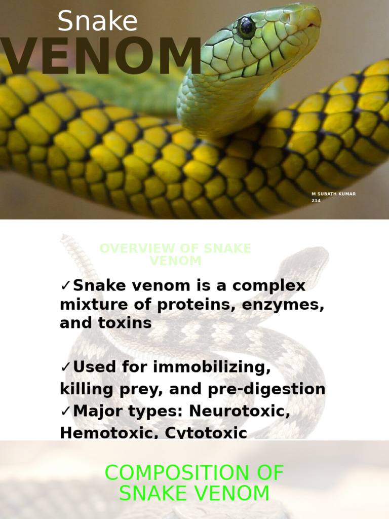 Final Snake Venom | PDF