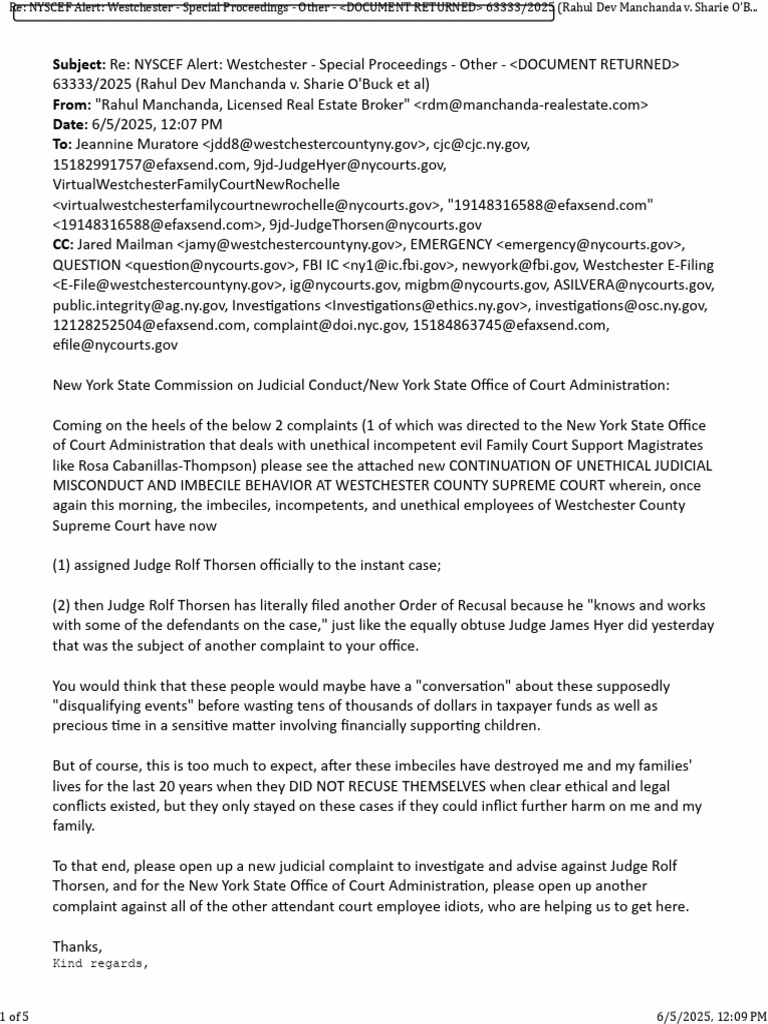 Complaint Against Judge Rolf Thorsen | PDF | Justice | Crime & Violence