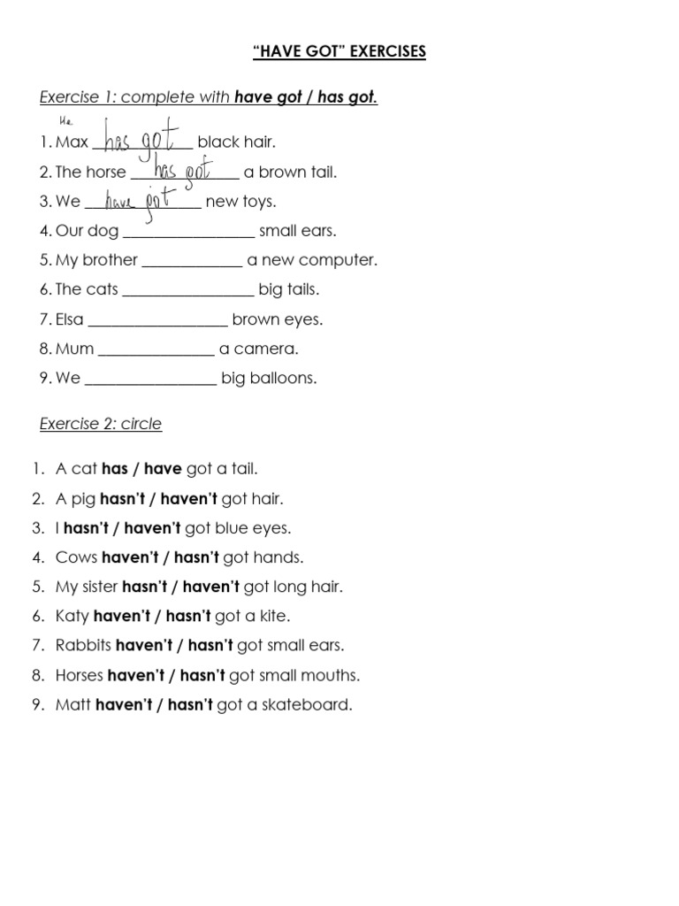 Have Got Handout | PDF
