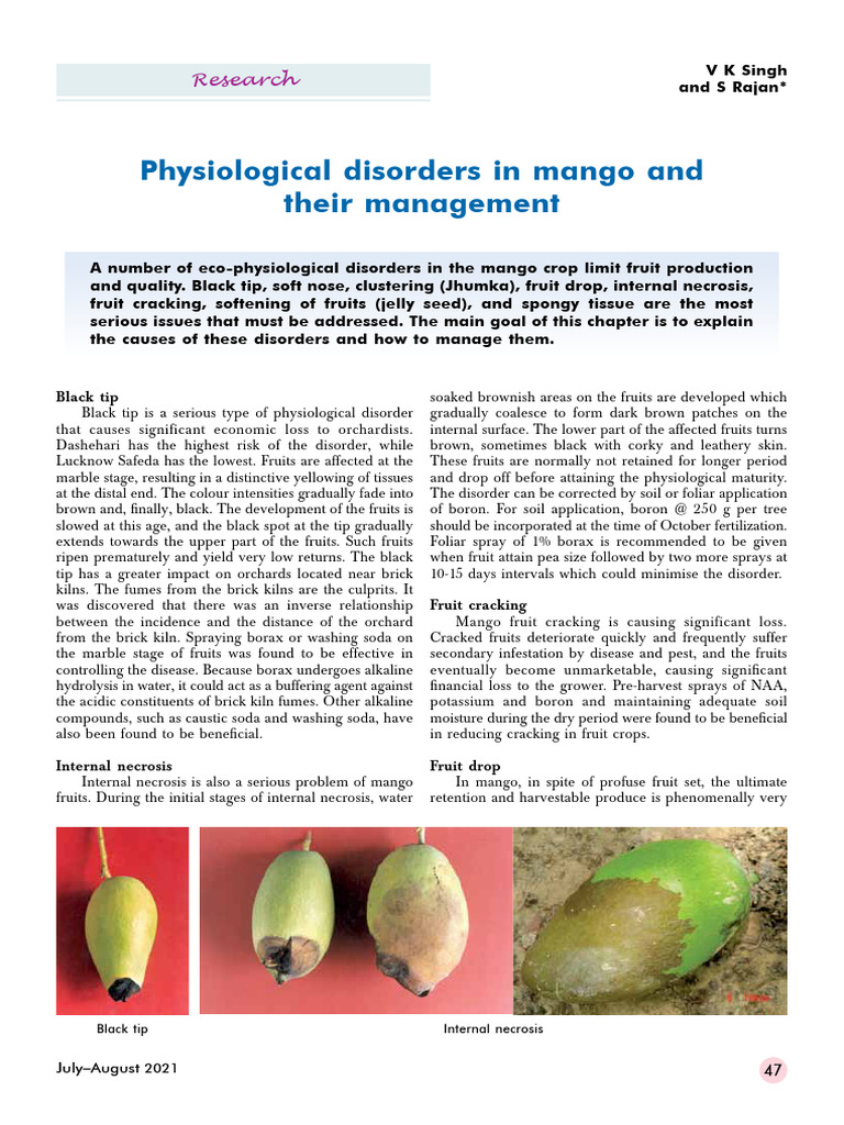 Ojsadmin, 16 Physiological Disorders in Mango and | PDF | Mango | Fruit