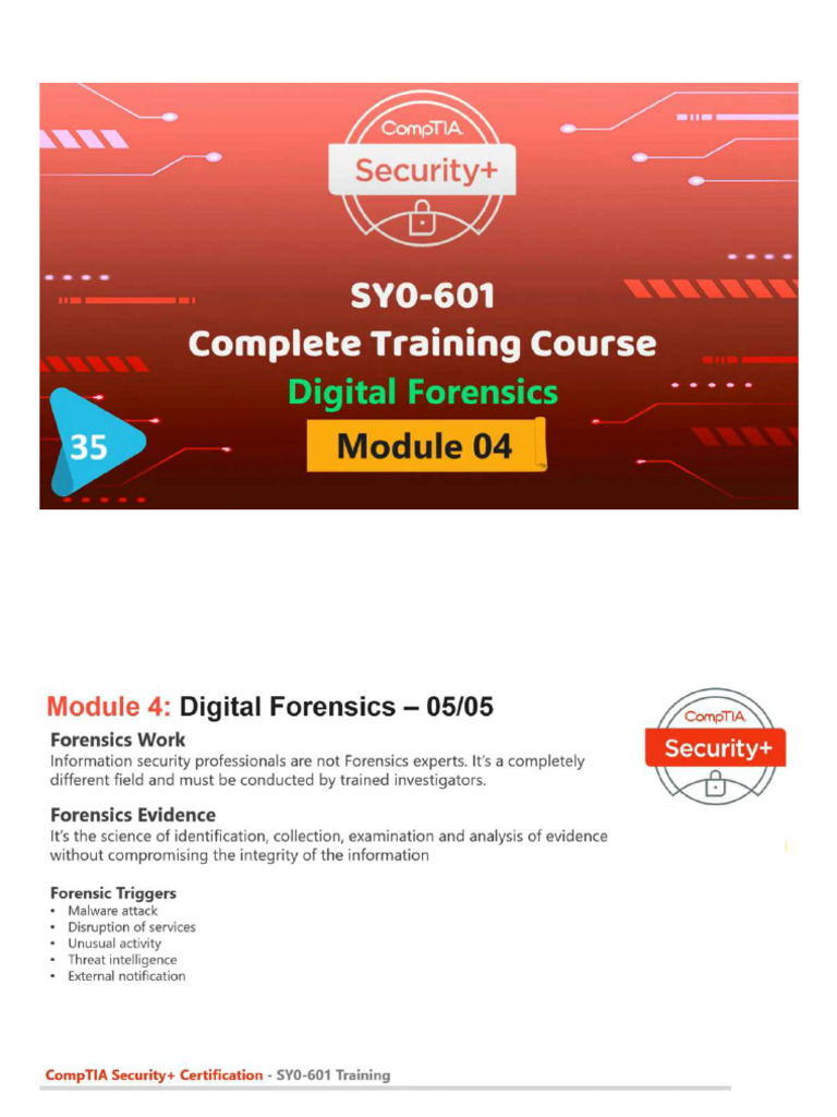 Digital Forensic | PDF