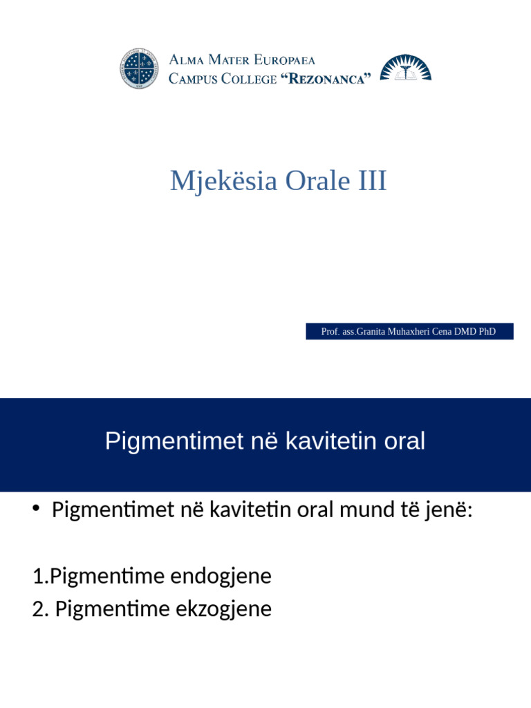 Mo3 Pigmentimet 23 | PDF