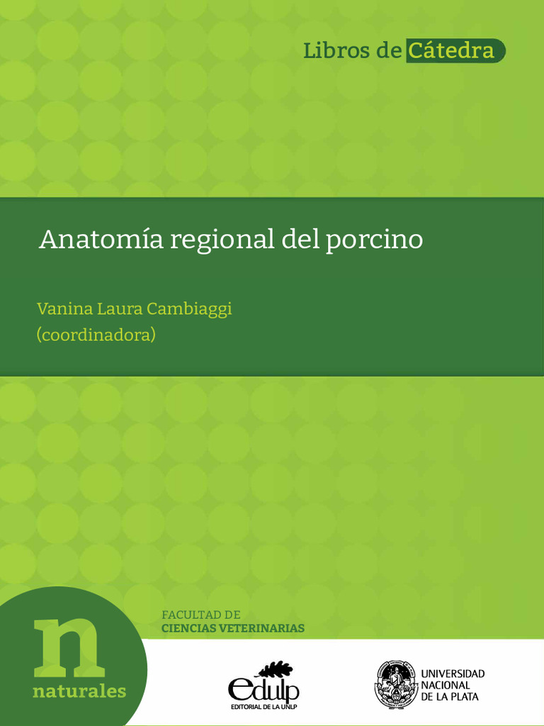 Pelvis y Ã Rganos Reproductores - Capitulo 5 | PDF | Pelvis | Vagina